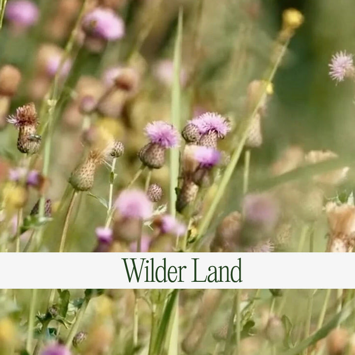 Wilder Land – Van Streek